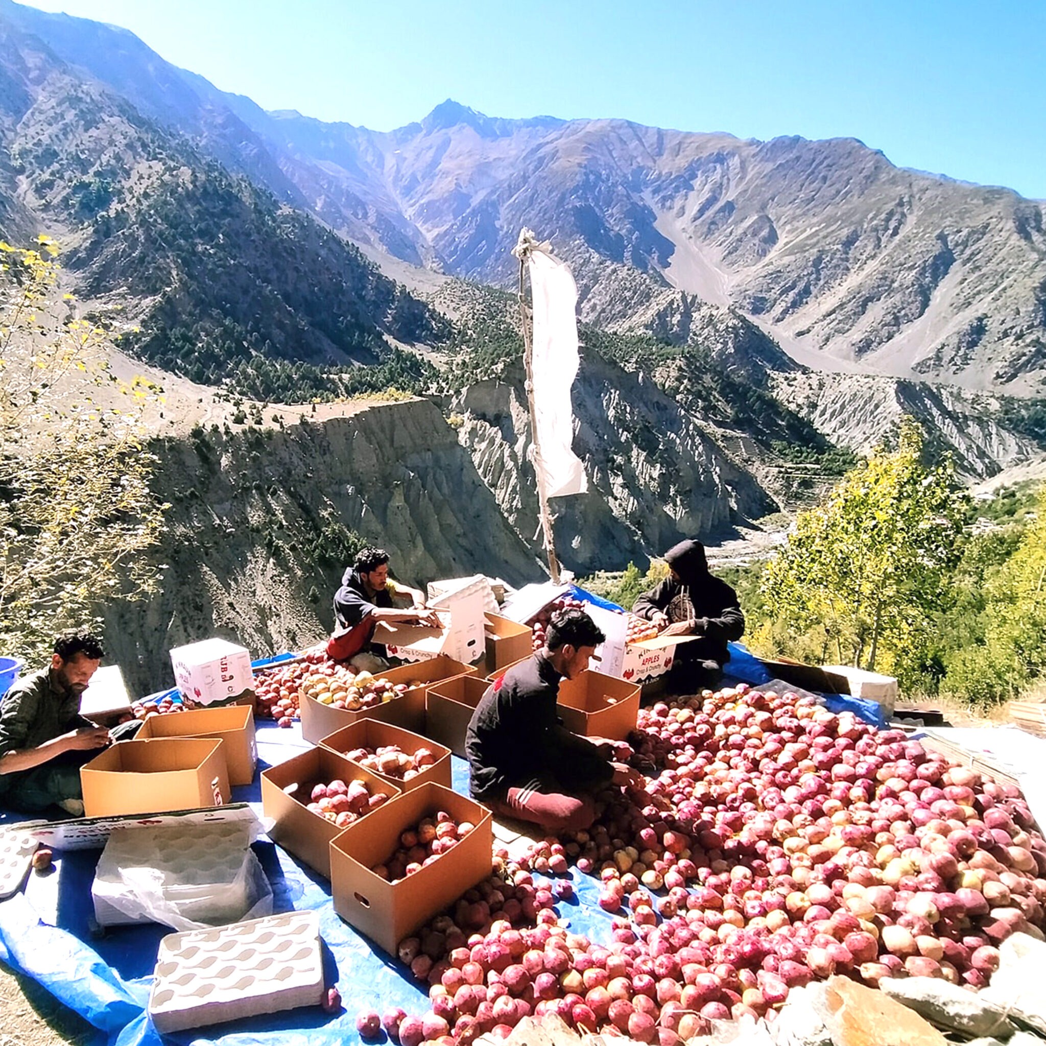 Ropa Valley – The Vinshar